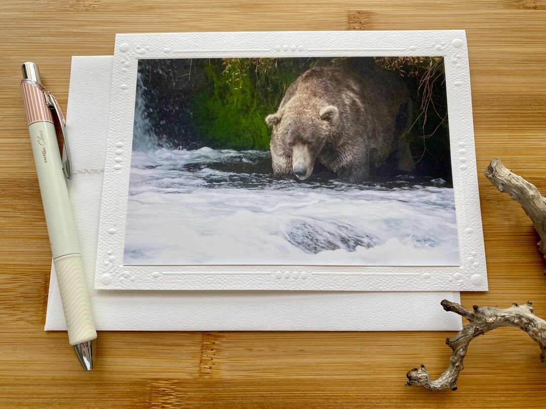 Katmai Bear "480 Otis" Note Card, Brooks Falls Alaska Bears, Alaska ...