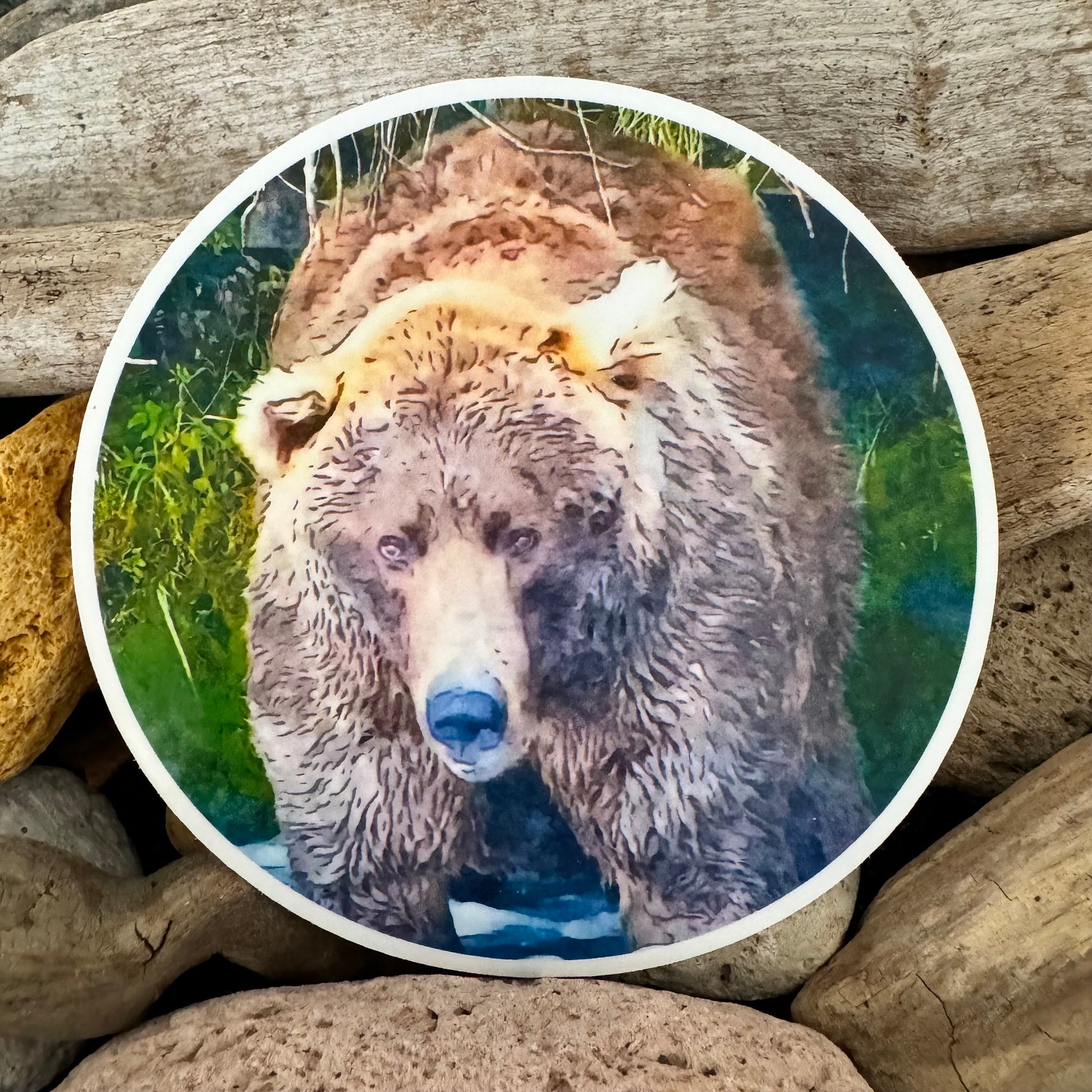 STC-056 Bear "480 Otis" Sticker, Fat Bear Week, Katmai National Park ...