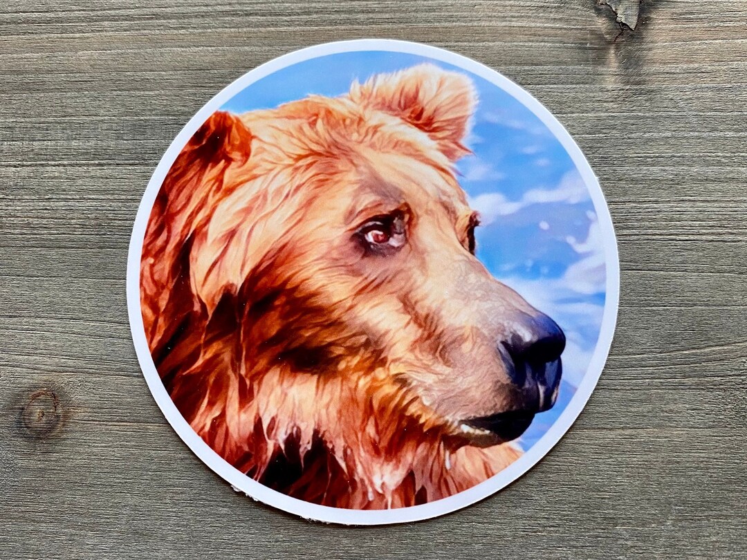 STC063 Katmai Brown Bear 128 Grazer Sticker - Etsy