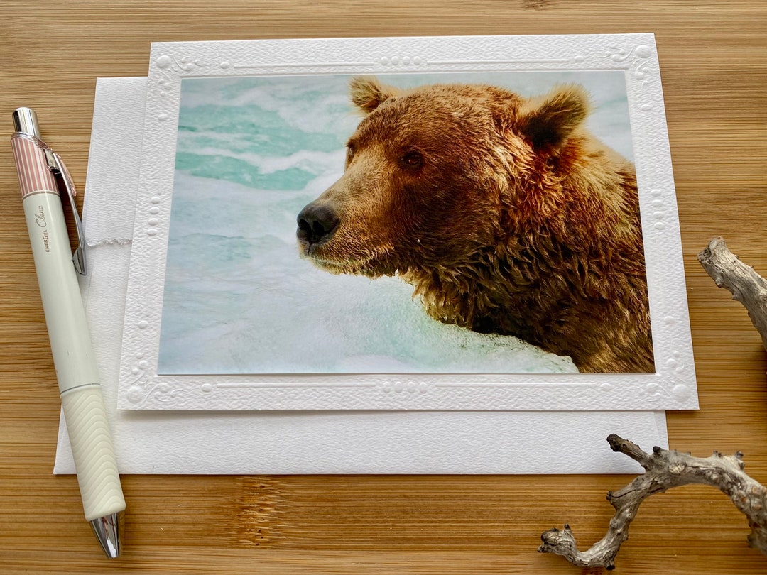 Katmai Bear "480 Otis" Note Card, Katmai National Park Alaska, Brooks ...