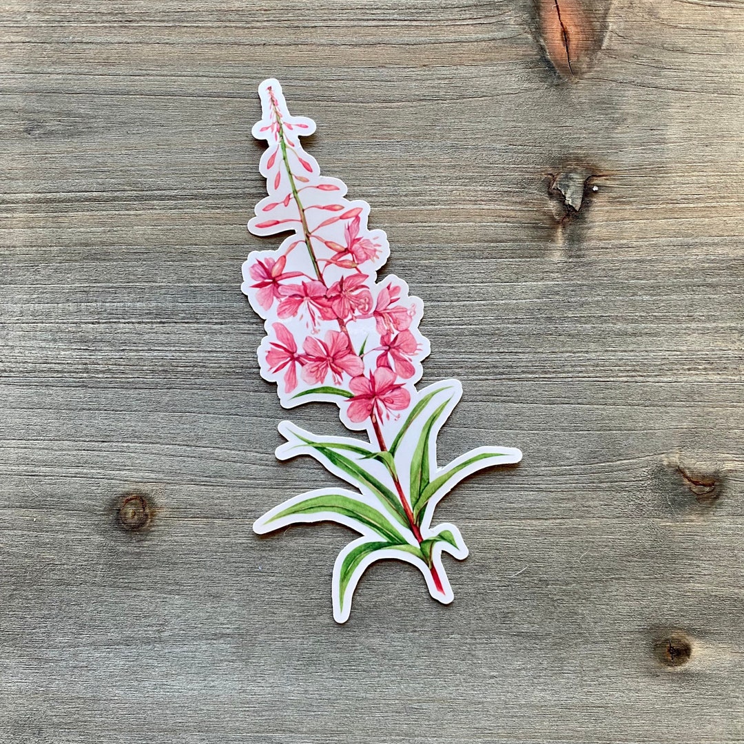 STC-019 Alaska Fireweed Sticker, Alaska Wildflower Sticker, Fireweed ...