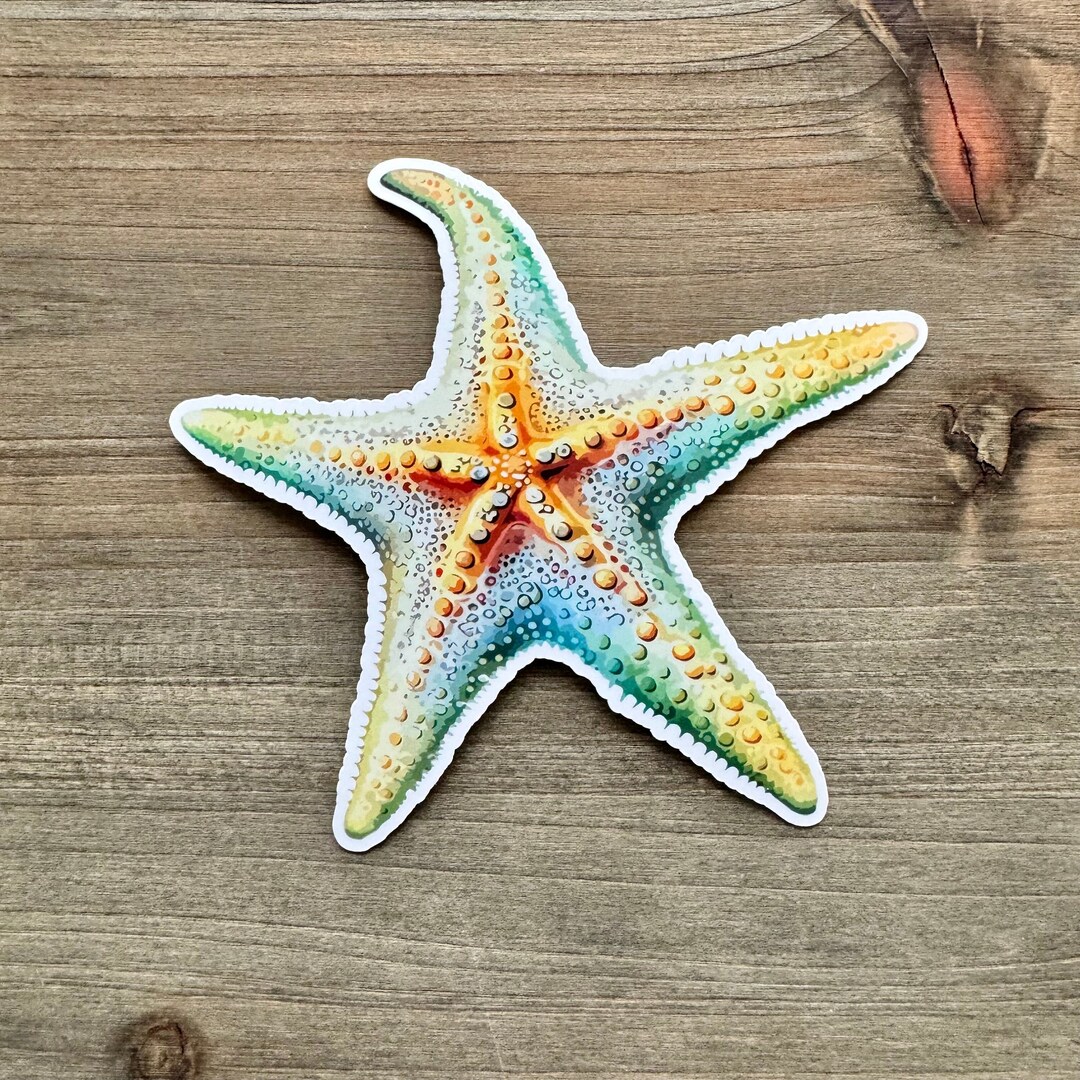 STC-103 Starfish Sticker, Sea Star Sicker, Ocean Creatures, Homer ...
