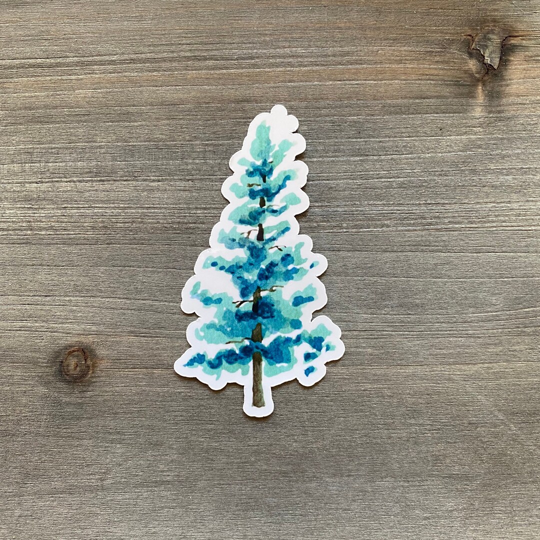 STC-091 Tree Sticker, Spruce Tree Sticker, Alaska Spruce Tree Sticker ...