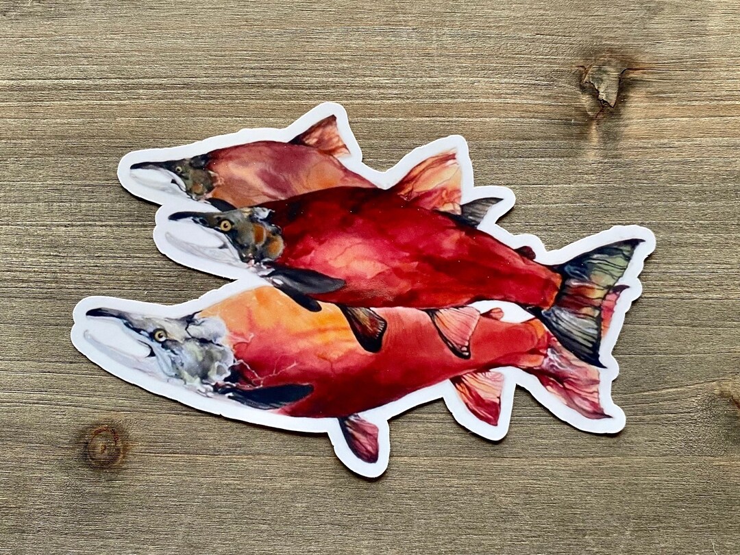 STC-099 Alaska Red Sockeye Salmon Sticker Alaska Sockeye - Etsy