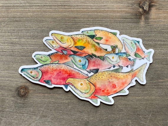 STC-061 Alaska Sockeye Salmon Art Sticker Alaska Salmon - Etsy