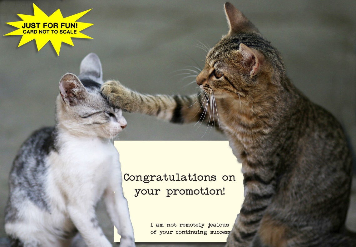 Congratulations on Your Promotion // Funny Farewell Card, New Job Card ...