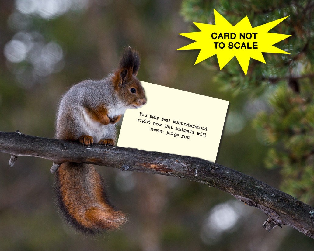 You May Feel Misunderstood // Thinking of You Card, Snarky Humor, Card ...