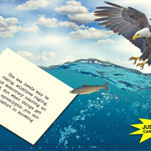 The Sea Levels May Be Rising // Funny Birthday Card, Snarky Humor ...