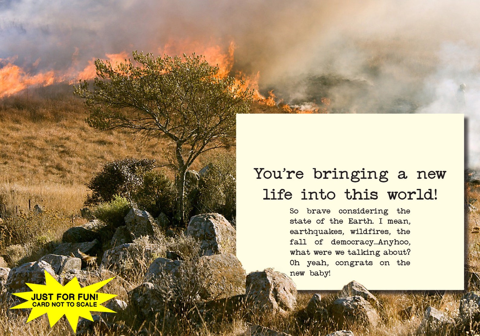 You're Bringing a New Life Into This World // - Etsy