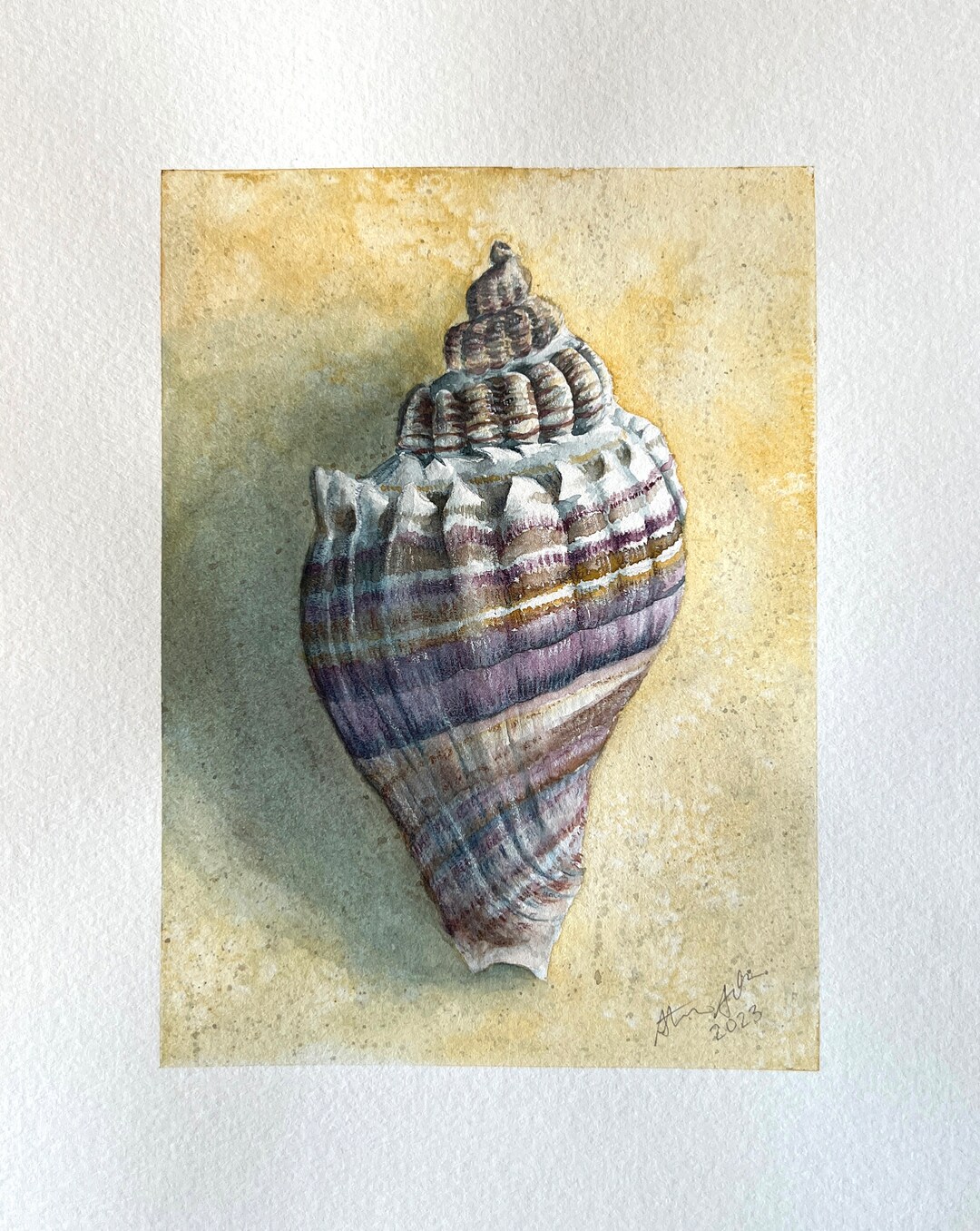 ORIGINAL Seashell Painting - Watercolor - 5x7 - Etsy