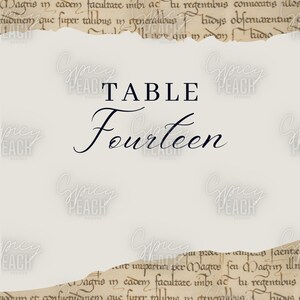 Book Themed Table Numbers 1-20: Literary Wedding Literature-inspired ...