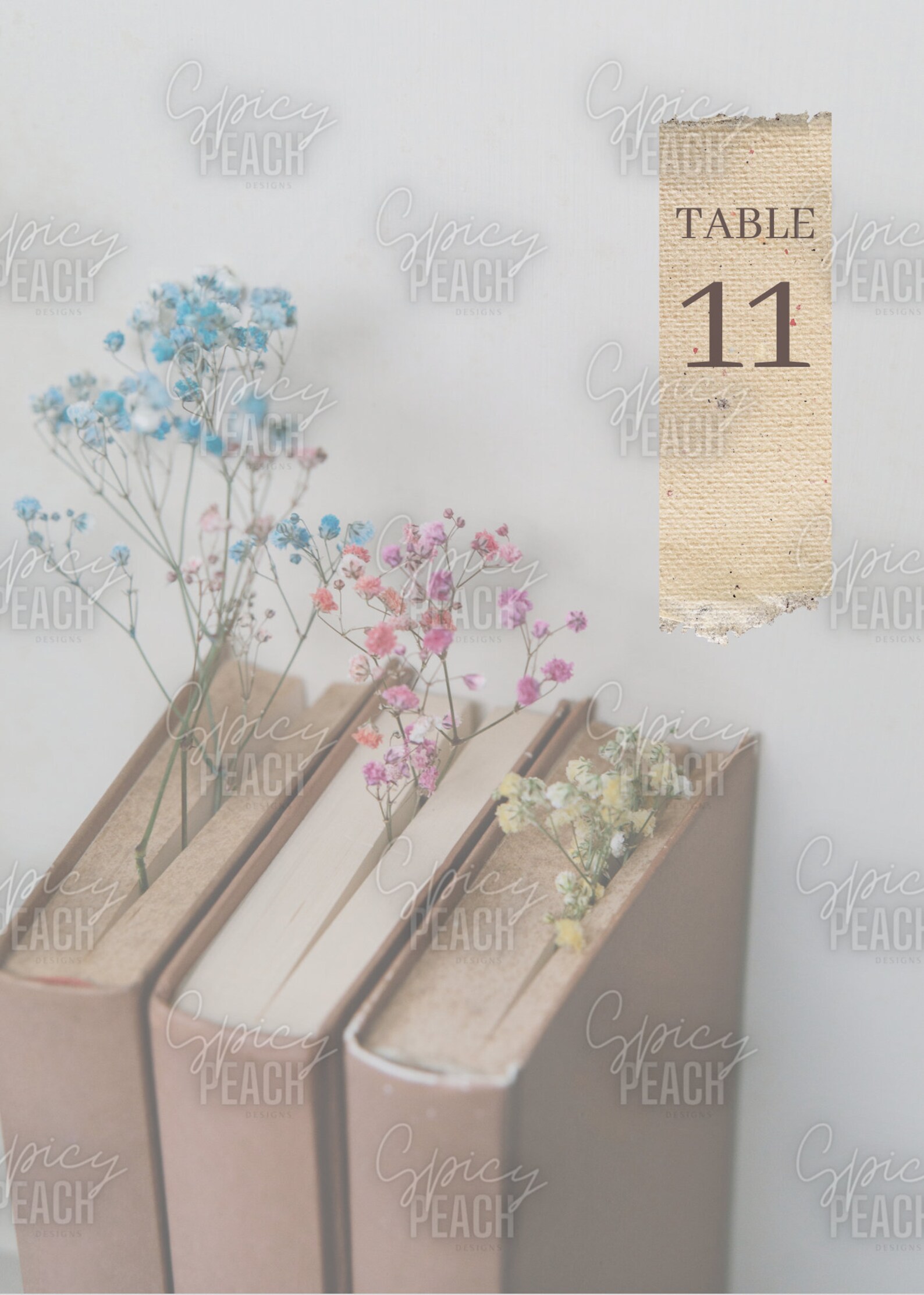 Literary Wedding Table Numbers 1-12: Book Theme (digital Download PNG ...