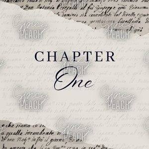 Book Themed Table Numbers, Literary Wedding, Literature Inspired ...