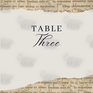 Book Themed Table Numbers 1-20: Literary Wedding Literature-inspired ...