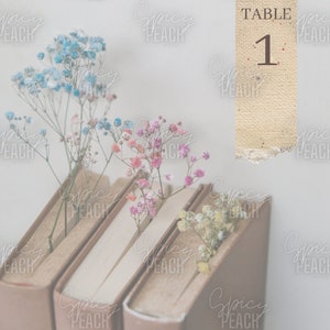 Book Themed Table Numbers, Literary Wedding, Literature Inspired ...