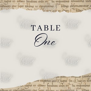 Book Themed Table Numbers 1-20: Literary Wedding Literature-inspired ...