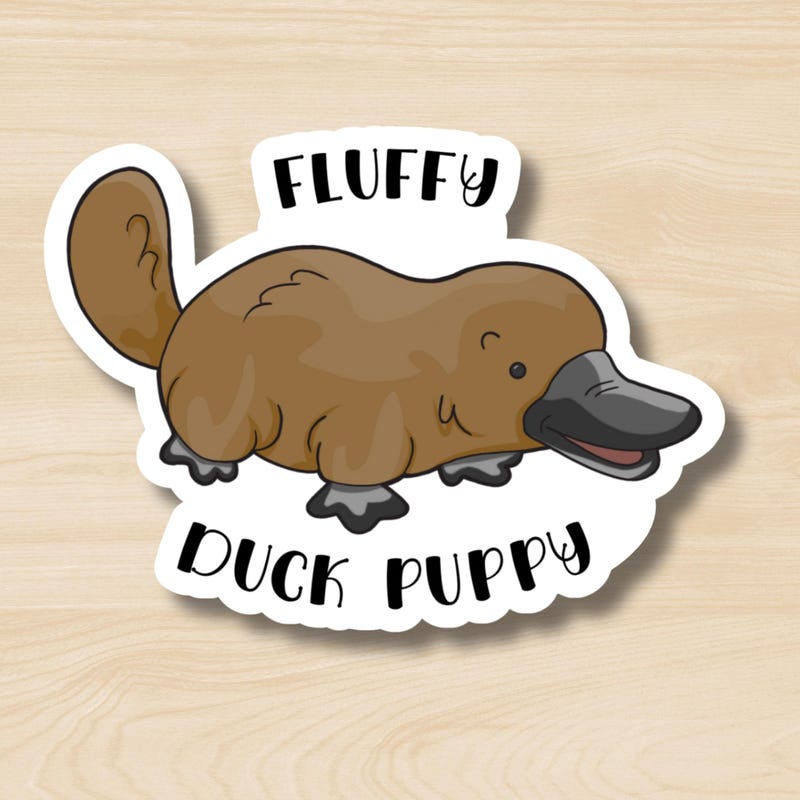 Furry Duck Sticker - Etsy