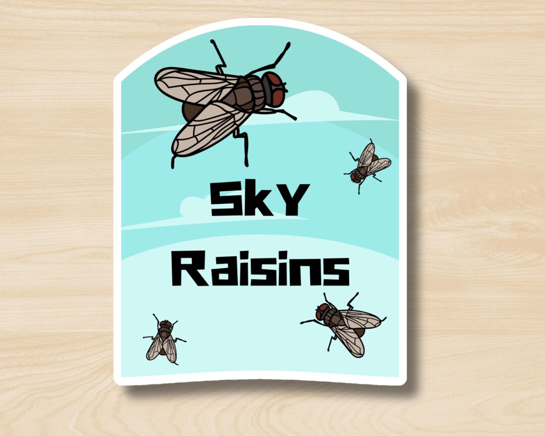 Fly: Sky Raisin Sticker, Funny Housefly Sticker, Cute Flying Insect ...