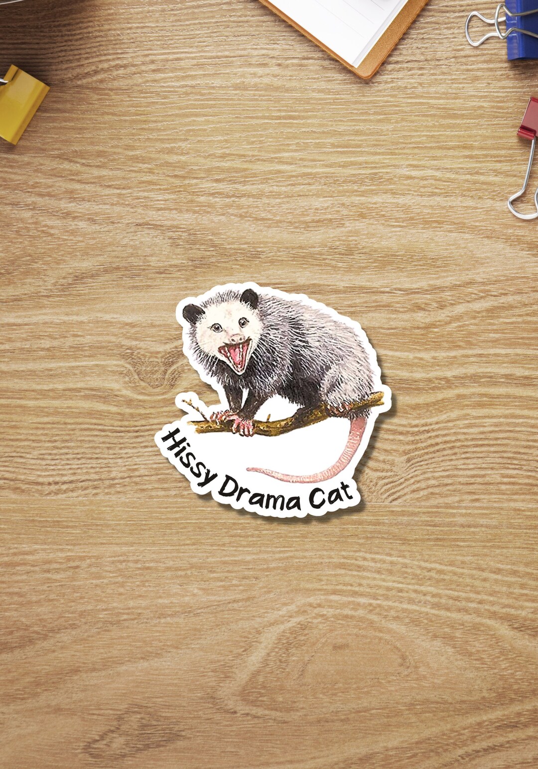 Funny Hissy Drama Cat, Possum, Opossum Sticker - Etsy