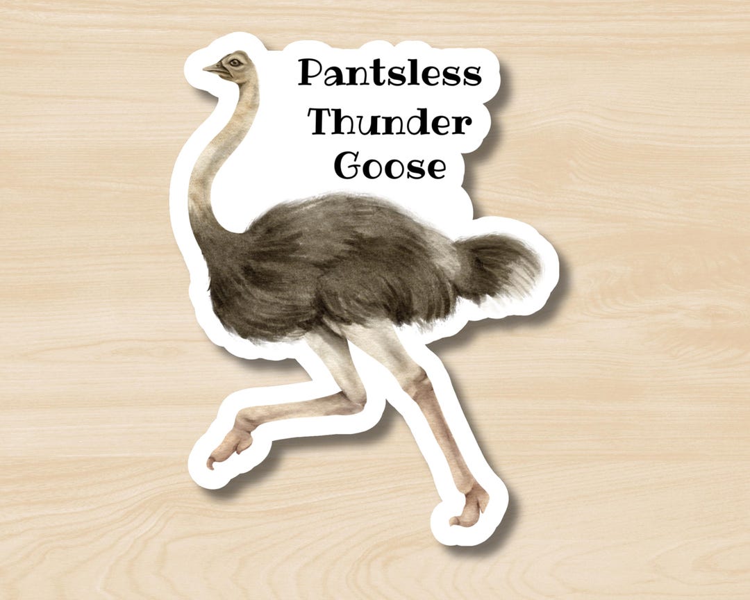Ostrich: Pantsless Thunder Goose Sticker, Funny Ostrich Sticker, Cute ...