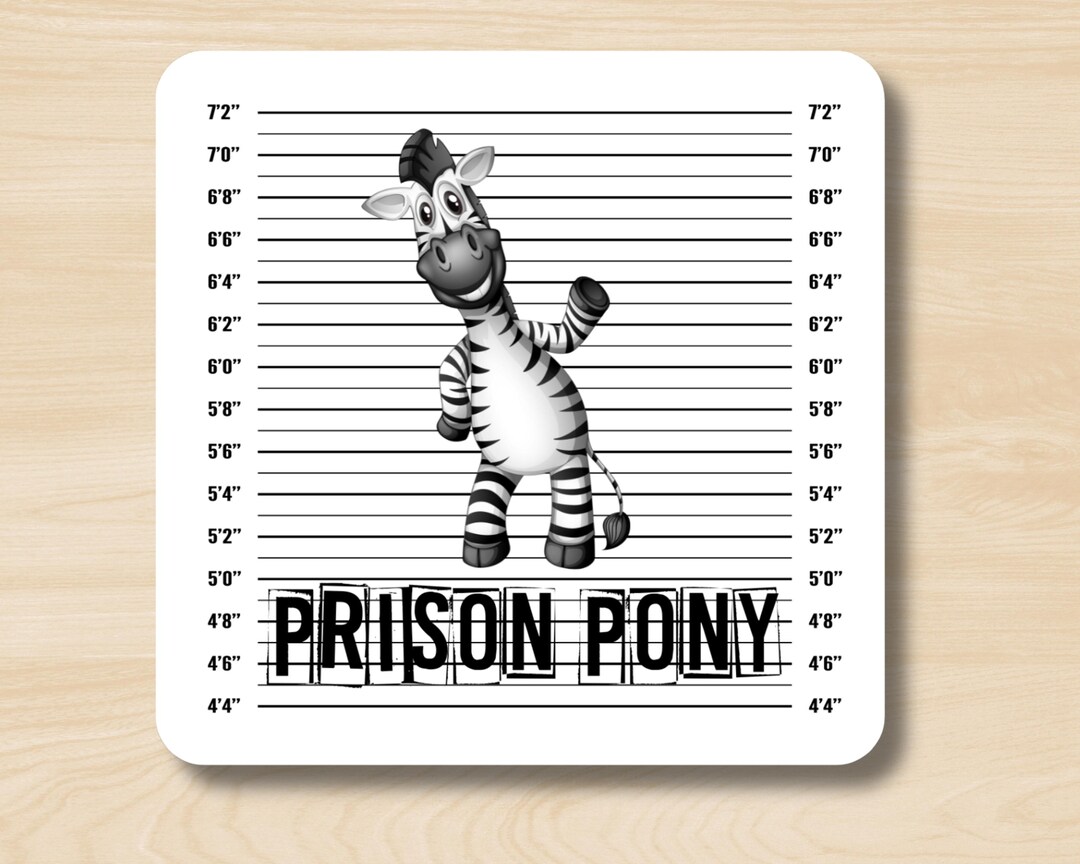 Zebra: Prison Pony Sticker, Funny Zebra Sticker, Cute African Animal ...
