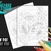 Magic Printable Coloring Page for Adults & Kids, Hand Drawn, Instant ...