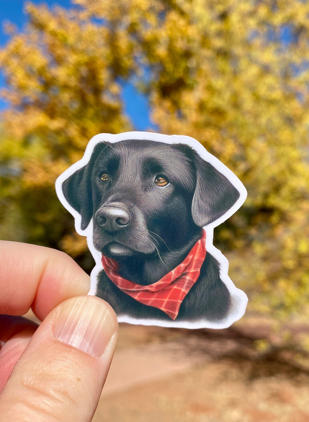 Black Lab Wearing Red Bandanna Sticker, Black Lab Sticker, Dog Mom ...