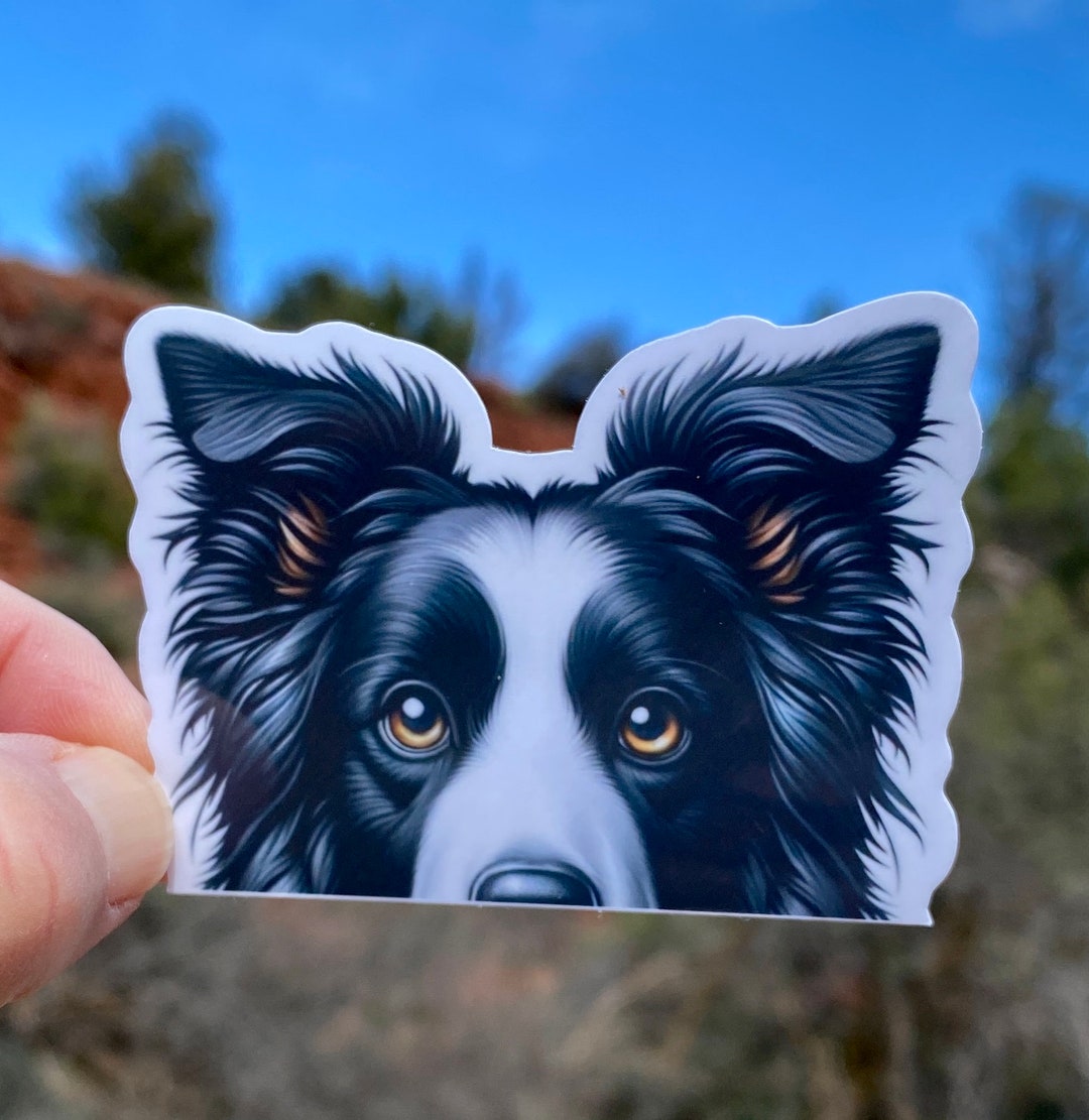 Border Collie Peek-a-boo Sticker, Border Collie, Dog Mom, Collie, Dog ...