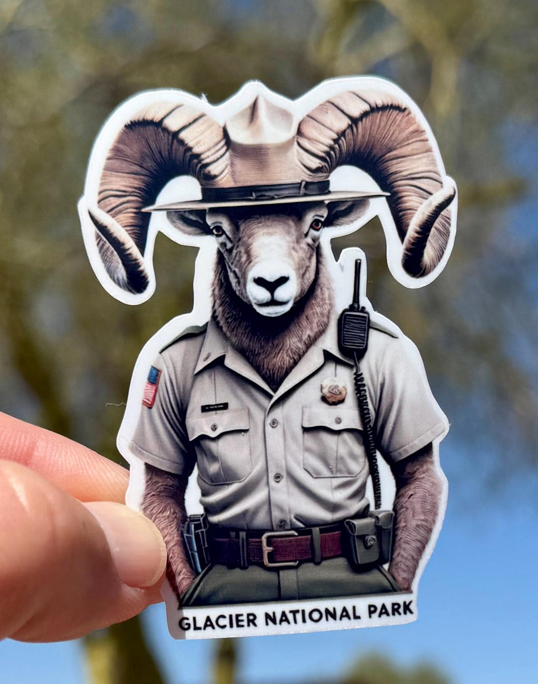 Bighorn Sheep Park Ranger Sticker, Park Ranger, NPS, Glacier National ...