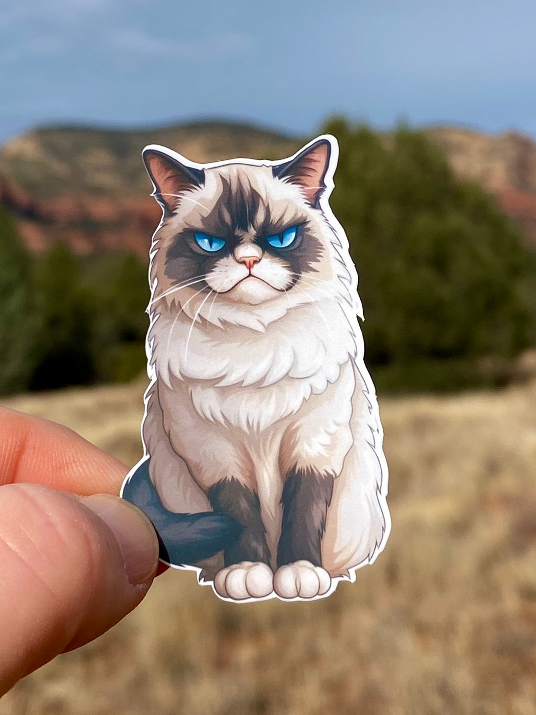 Grumpy Cat Sticker, Sticker, Decal, Cat, Grumpy Cat, Grumpy, Grouchy ...