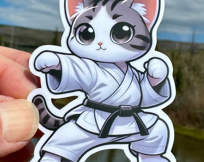 Karate Sticker Pack - Etsy