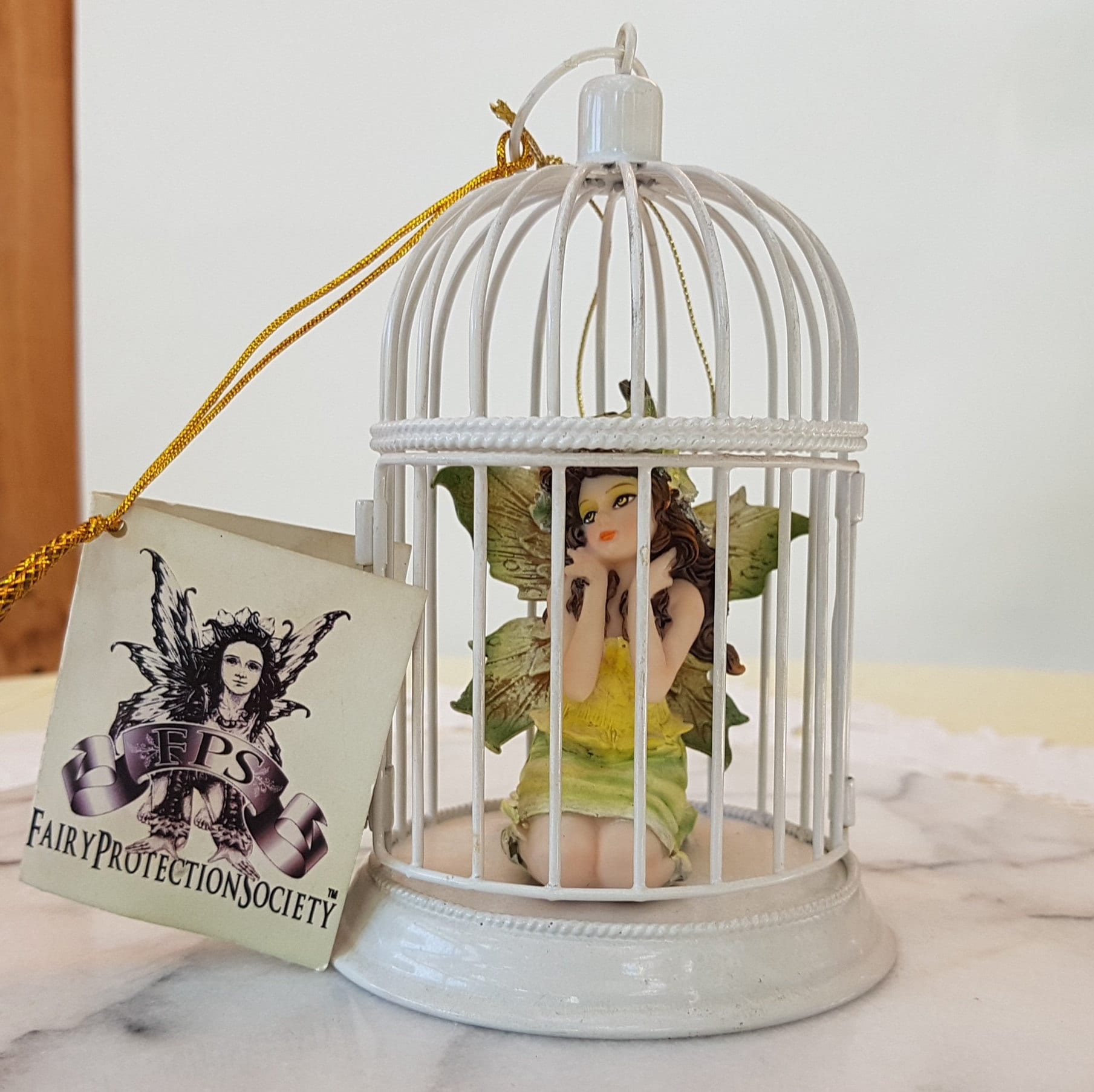 Fairy In A Cage