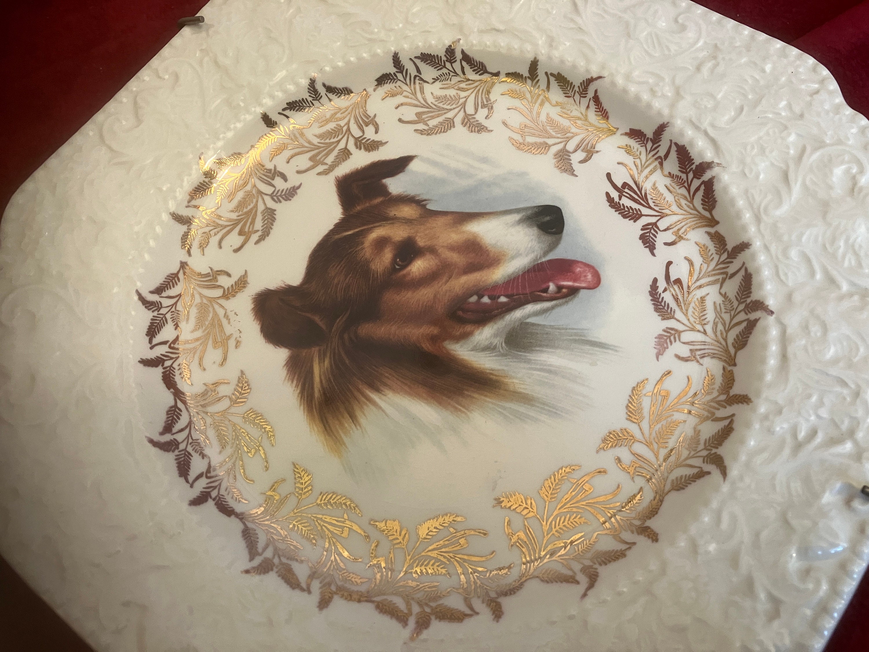 Lord Nelson Pottery England Collie Plate Hanging Included - Etsy
