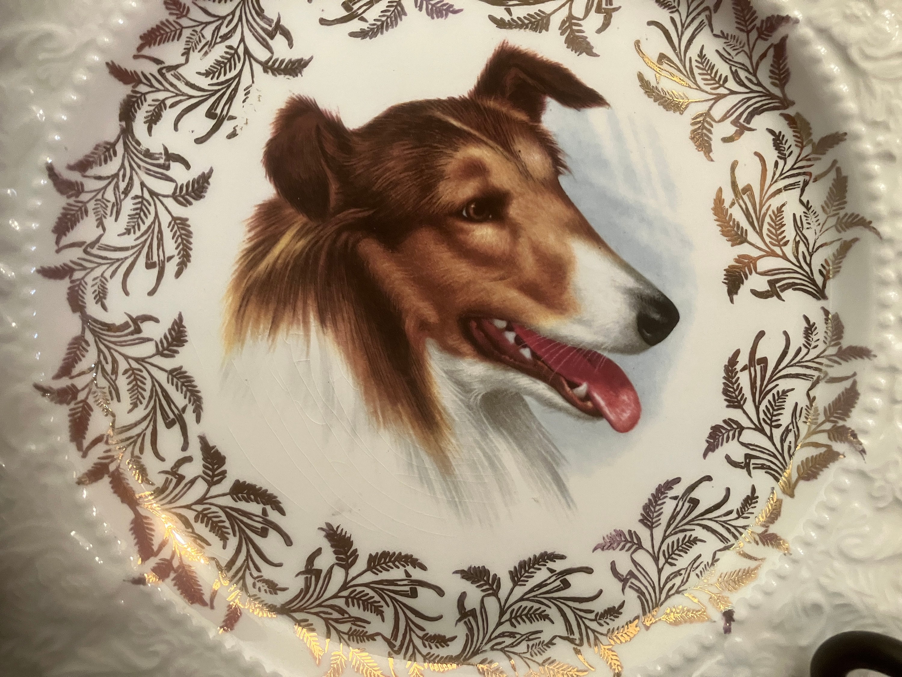 Lord Nelson Pottery England Collie Plate Hanging Included - Etsy