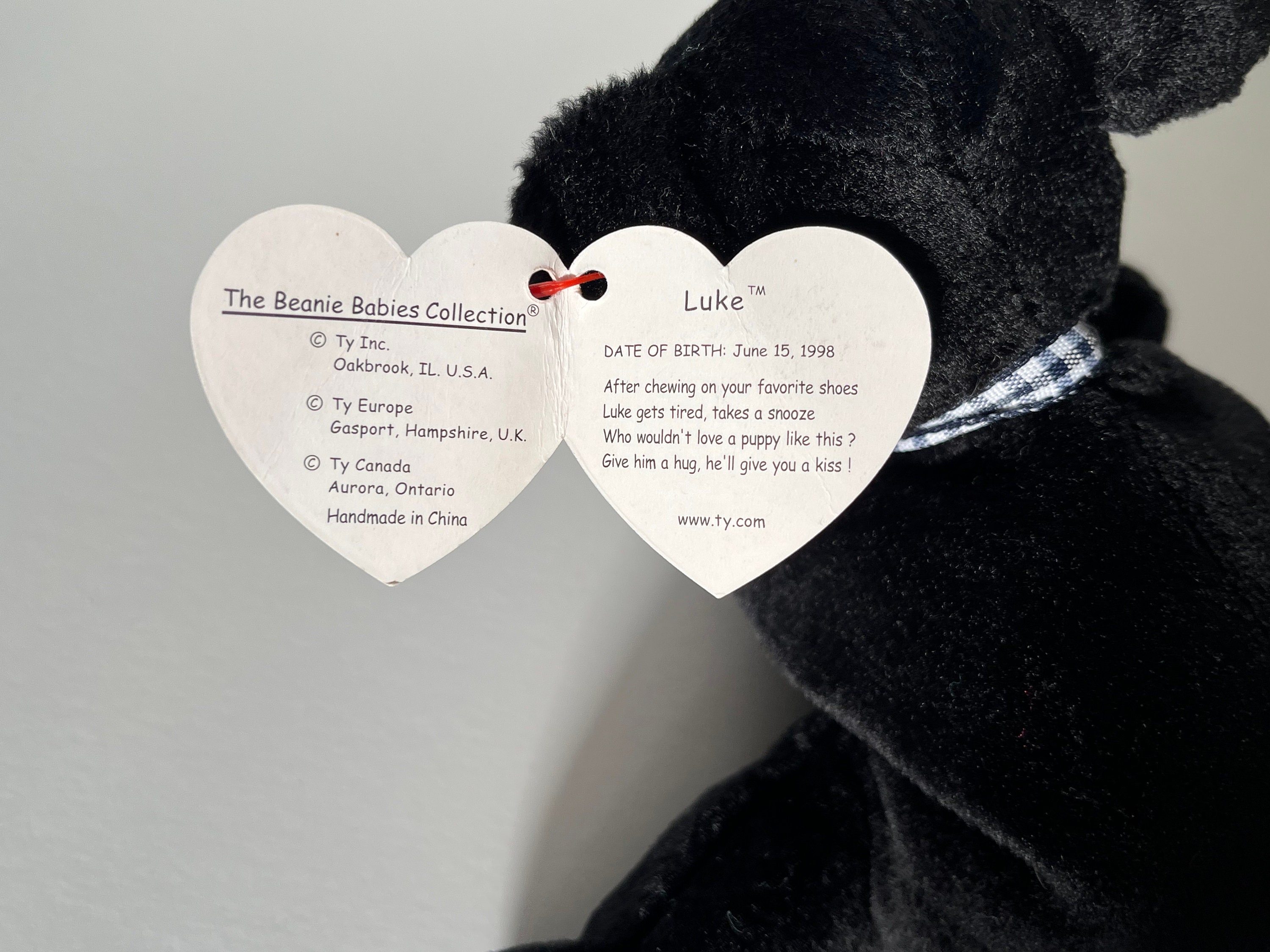 Luke the Dog Beanie Baby | RARE With Tag Errors - Etsy