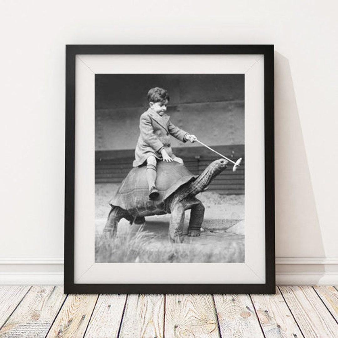 Vintage Photo - 1930's Boy Riding a Turtle Tortoise - Photography Wall ...