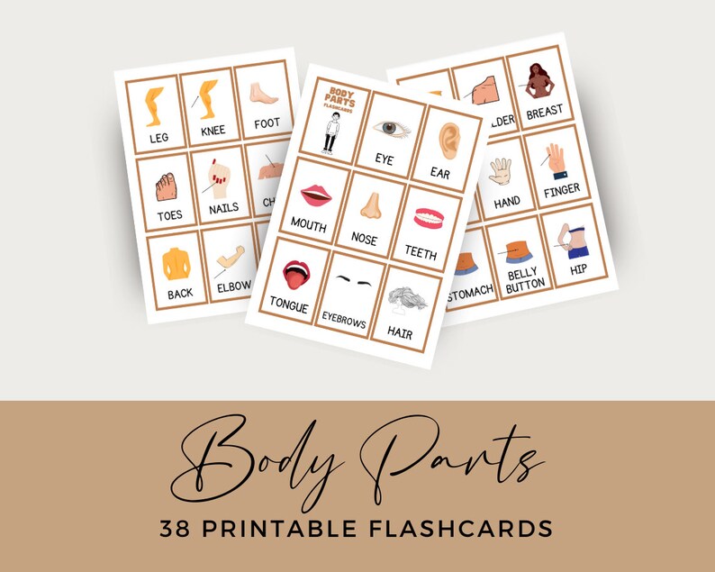 Body Parts - 38 Printable Flashcards - Etsy