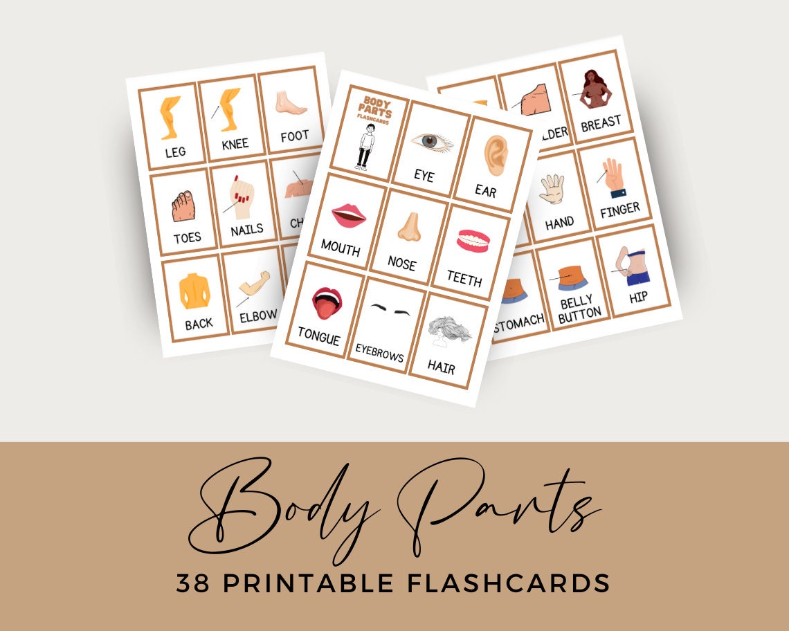 Body Parts - 38 Printable Flashcards - Etsy