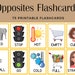 Opposites - 75 Printable Flashcards - Etsy
