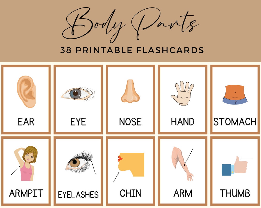 Body Parts - 38 Printable Flashcards - Etsy