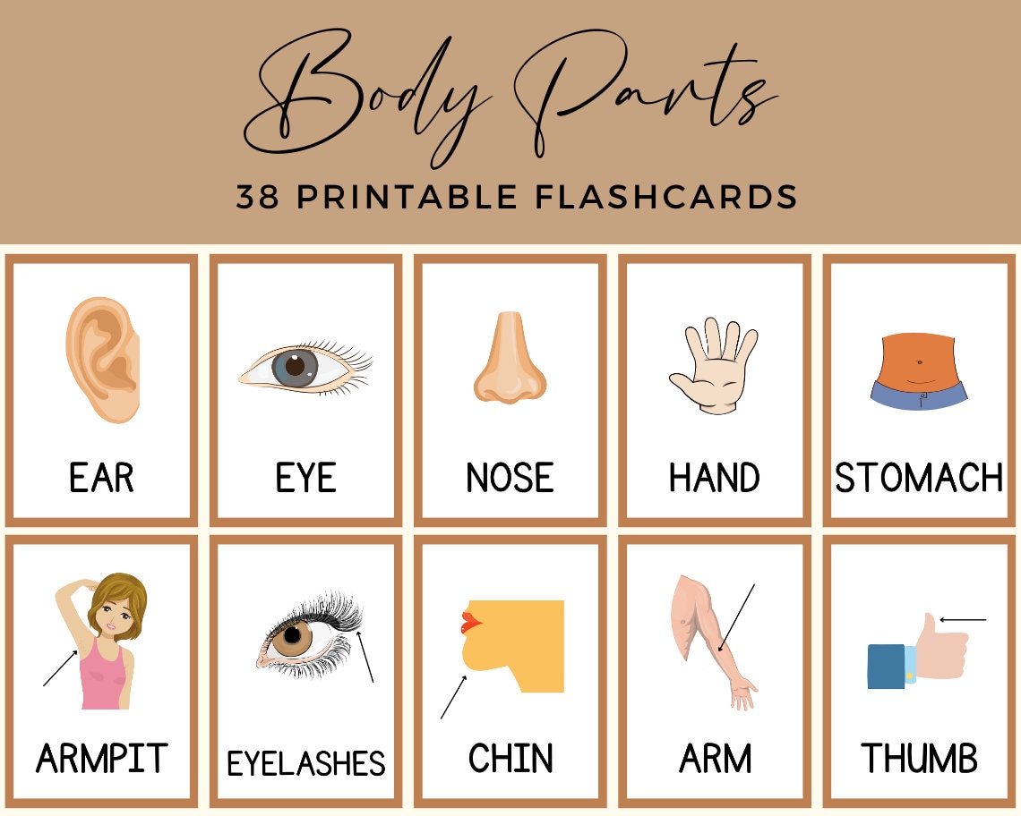 Body Parts - 38 Printable Flashcards - Etsy