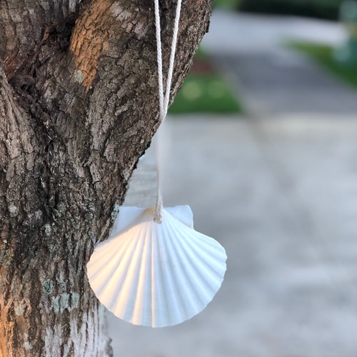 Hanging Shells Gilded Scallop Decorations Barnacle Shell - Etsy