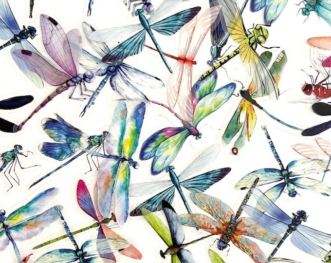 40 Watercolor Dragonfly Stickers Translucent Multi Colored Dragonfly ...