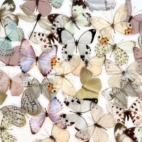Mini Butterfly Stickers for Miniature Scene DIY Projects or Dollhouse ...