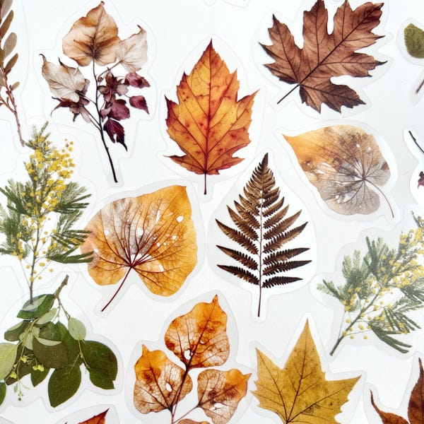 Autumn Stickers - Etsy