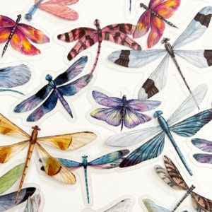 40 Translucent Dragonfly Stickers - Beautiful Multi Colored Dragonfly ...