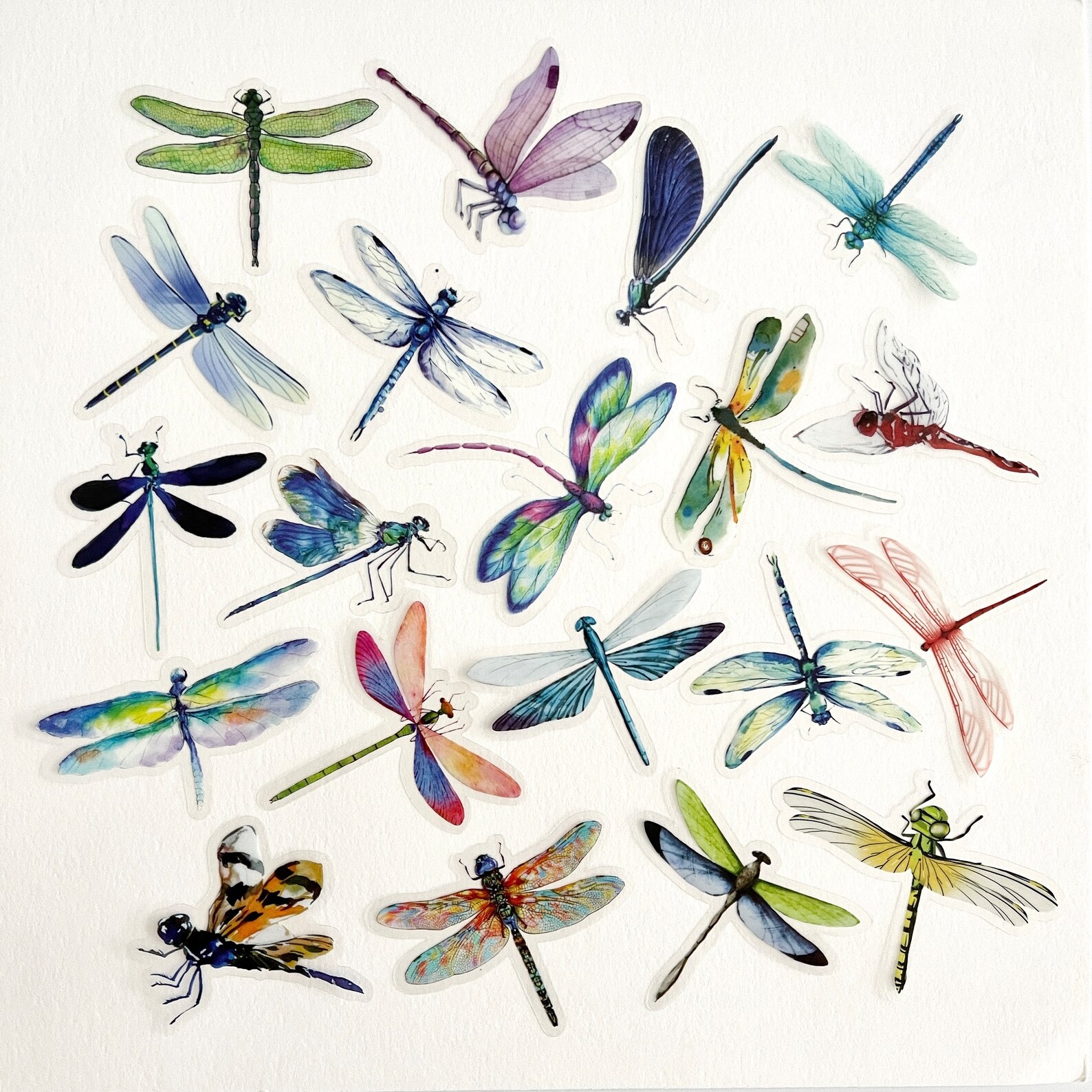 40 Watercolor Dragonfly Stickers - Translucent Multi Colored Dragonfly ...