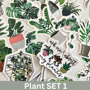 Boho Plant Stickers - House Plant Stickers - Love of Plants Stickers ...