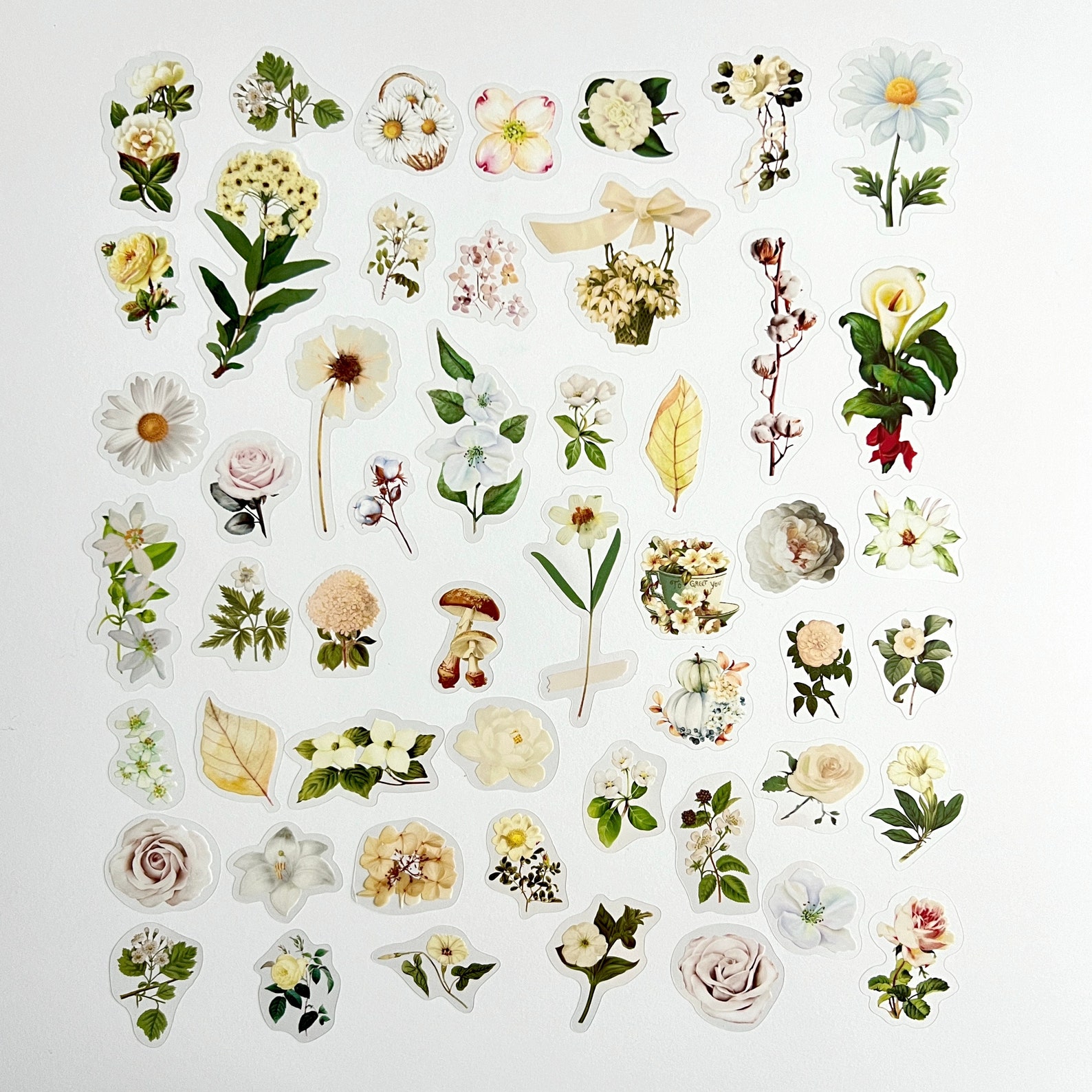 Clear Floral Flower Botanical Stickers - Transparent Flower Botanical ...