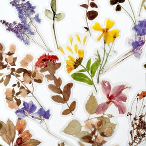 40 Clear Fall Colors Plant Flower Stickers - Beautiful Translucent ...